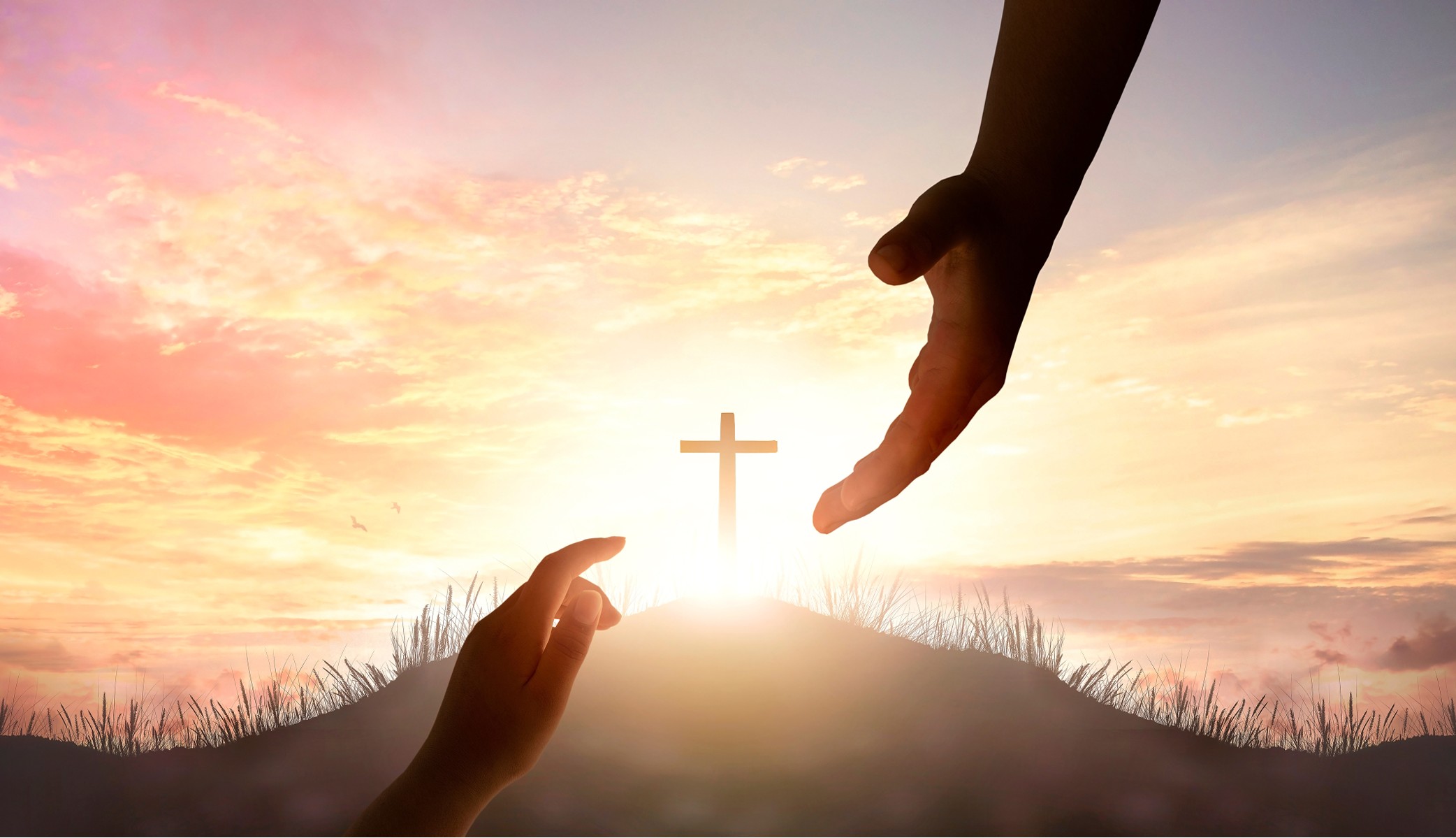 The One Mediator | BainbridgeGA.com