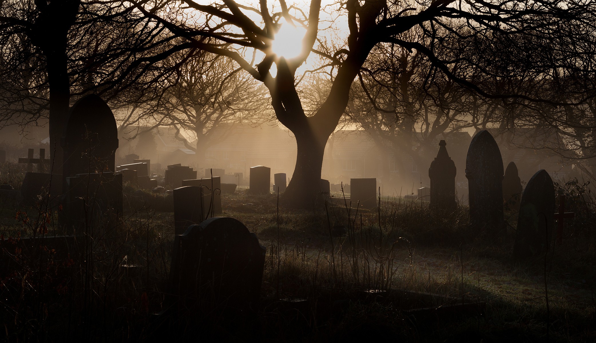 Let The Dead Bury The Dead | BainbridgeGA.com